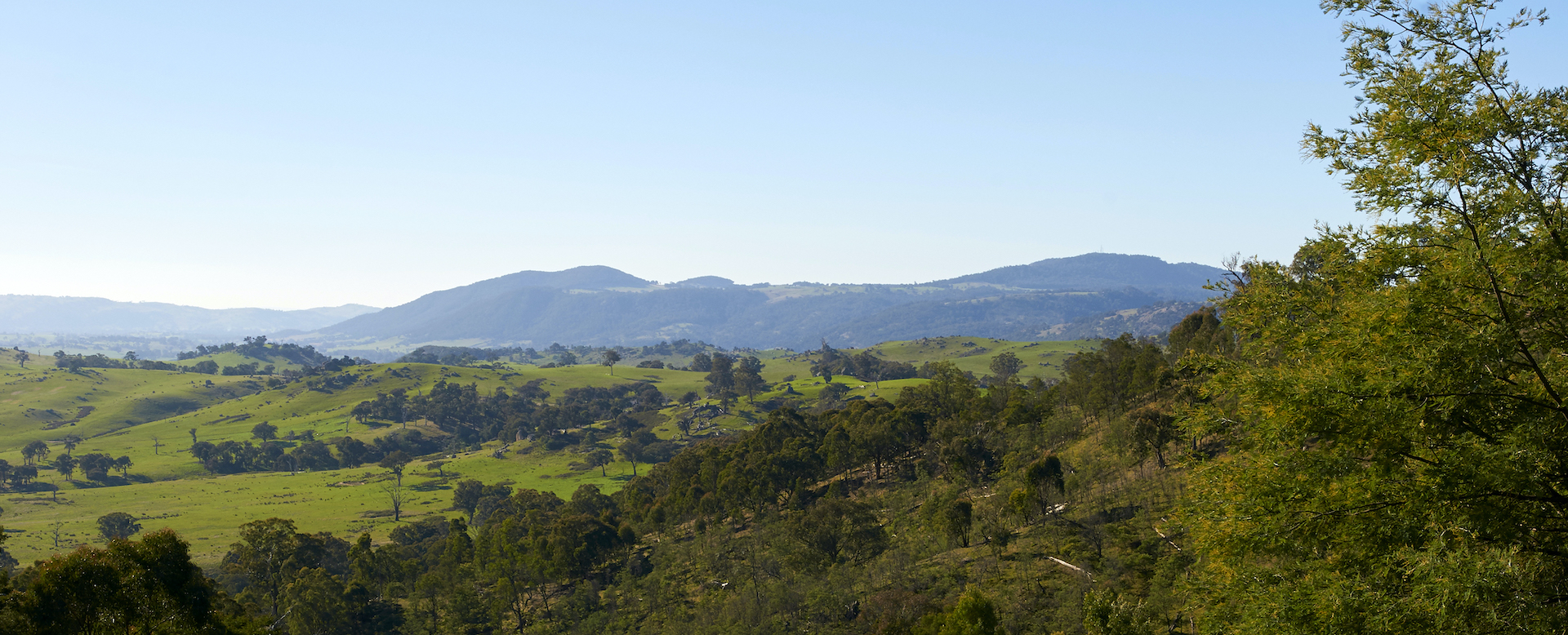 Home | Share Strathbogie