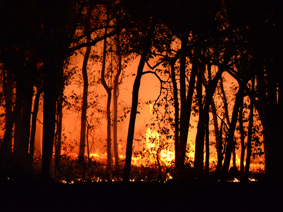 Draft Municipal Fire Management Plan | Share Strathbogie